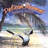Pelican Moment by Peter's Voice (CD, Apr-2004, Peter's Voice) for sale ...