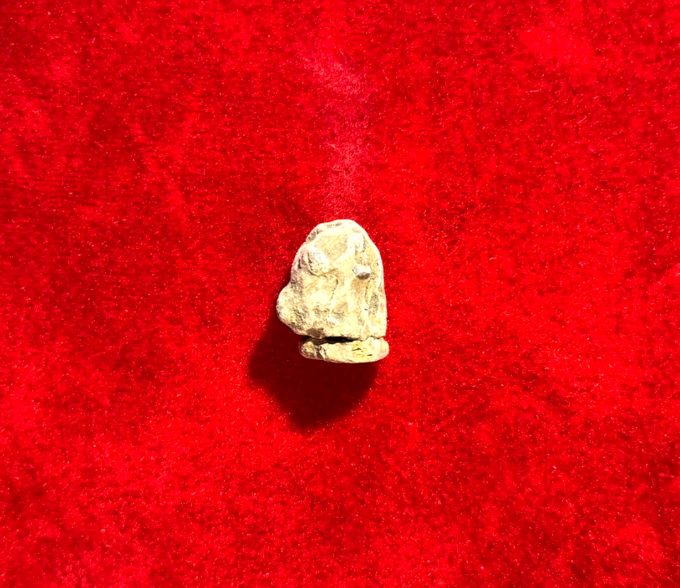 ORIG CIVIL WAR PAIN BULLET W / VISIBLE TEETH MARKS / FOUND GETTYSBURG ...