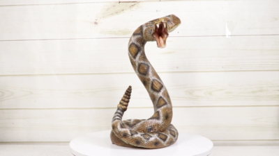 Coiled Rattlesnake Tattoo