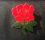 LANCASHIRE RED ROSE LABOUR PARTY ENAMEL PIN BADGE GIFT (PB17) BIGGER ...