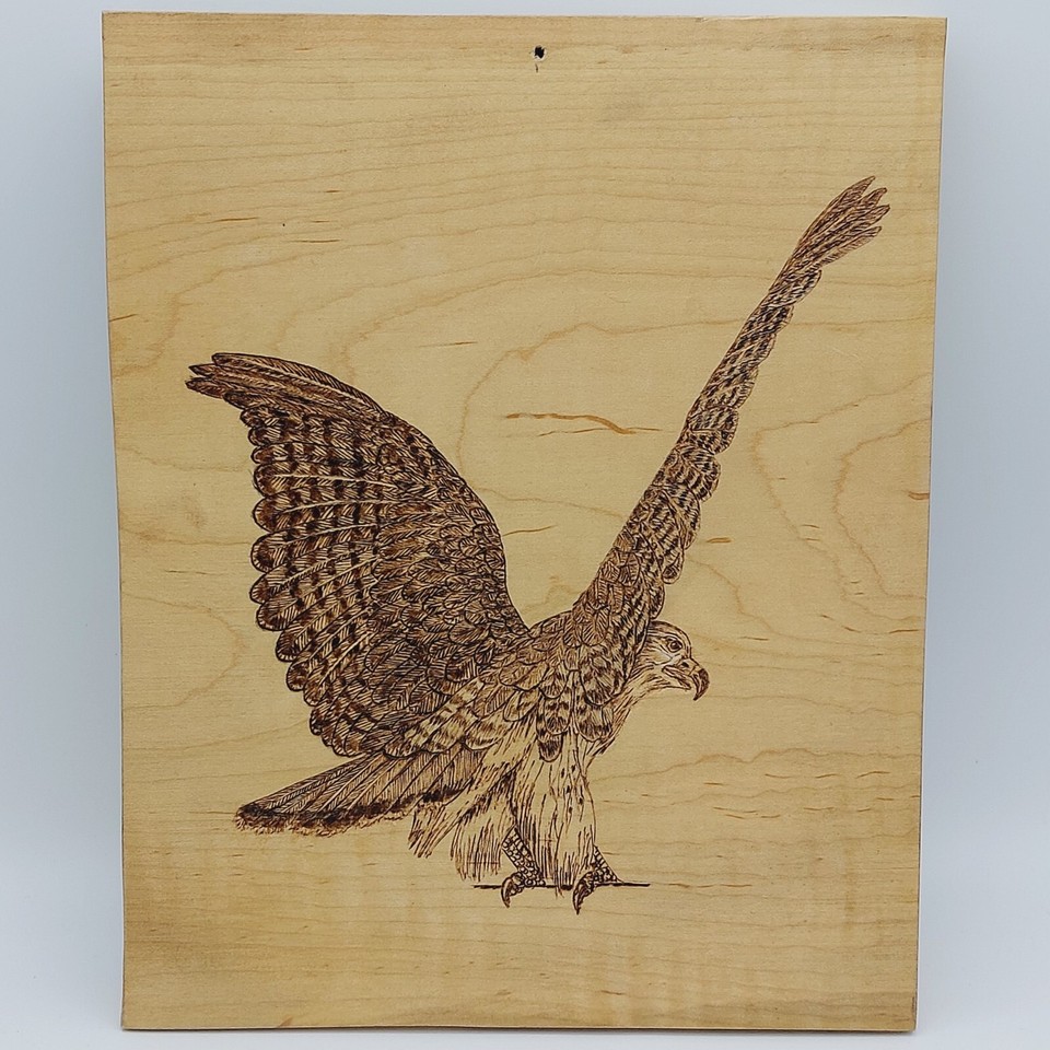 Pyrography Wood Burning Art Eagle Wood Block Bird Hawk 8" x 10" | eBay