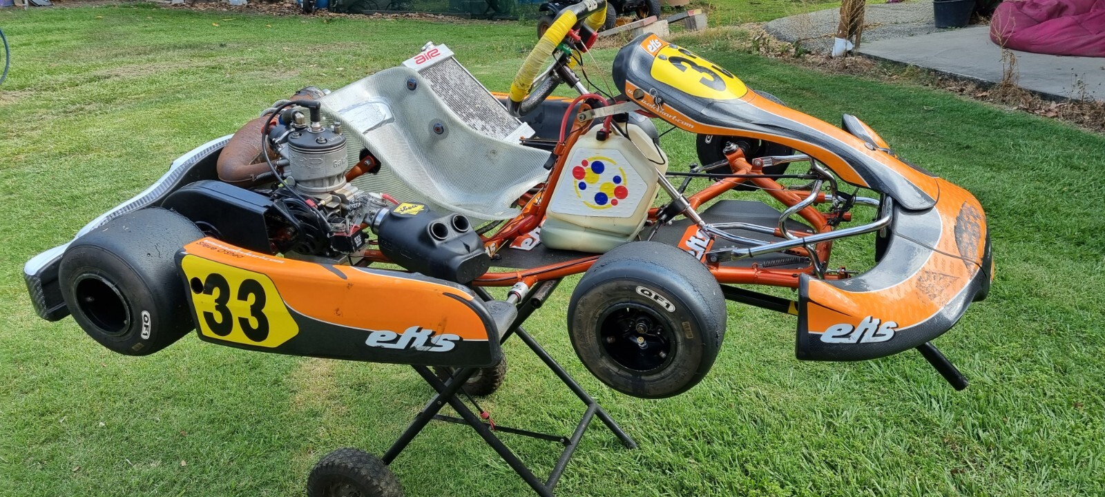 EKS Racing Go Kart, TAG, 125cc PRD Galaxy | eBay