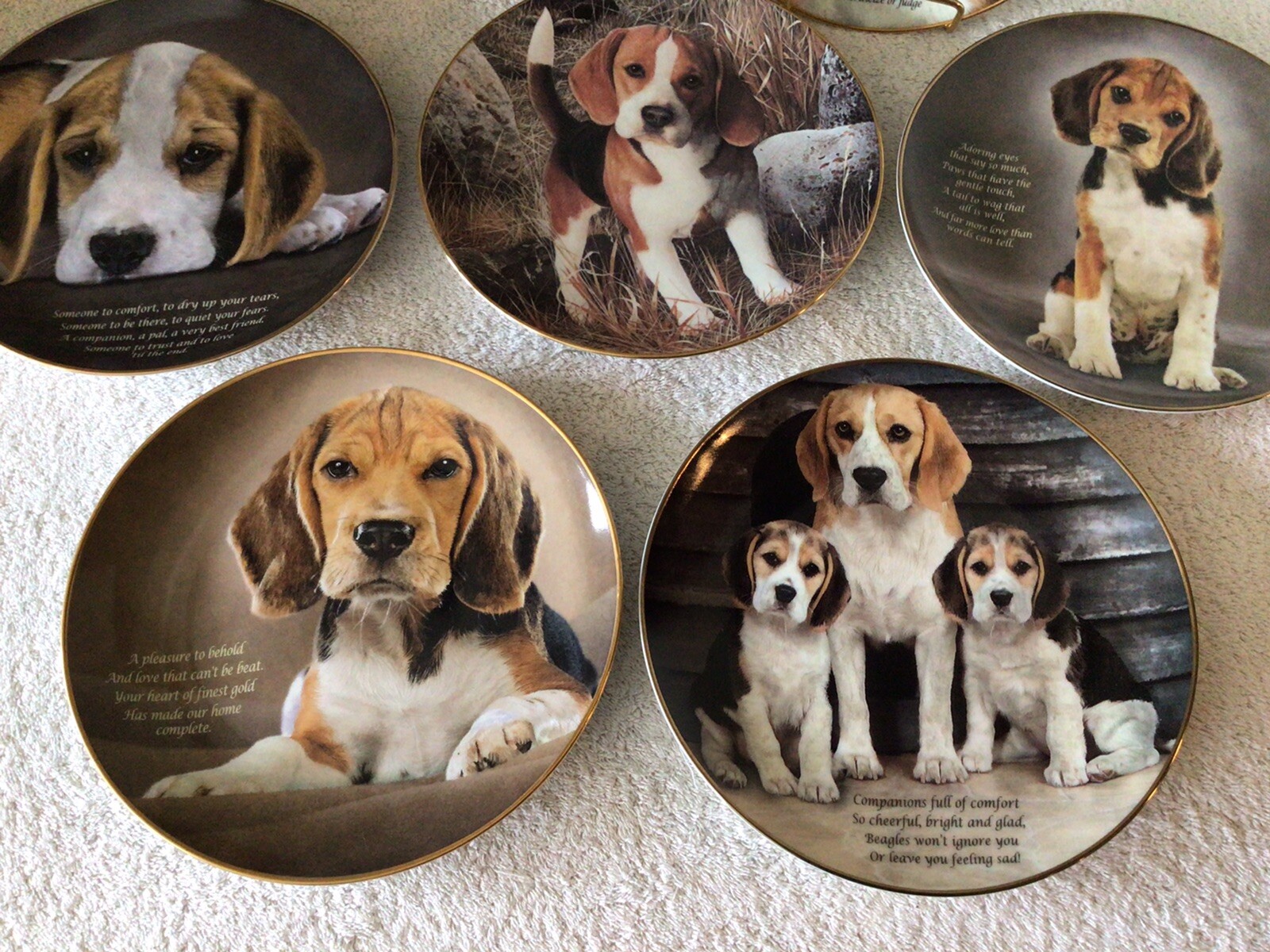 7 DANBURY MINT LIMITED EDITION *BEAGLE DOG* CHERISHED BEAGLES ...