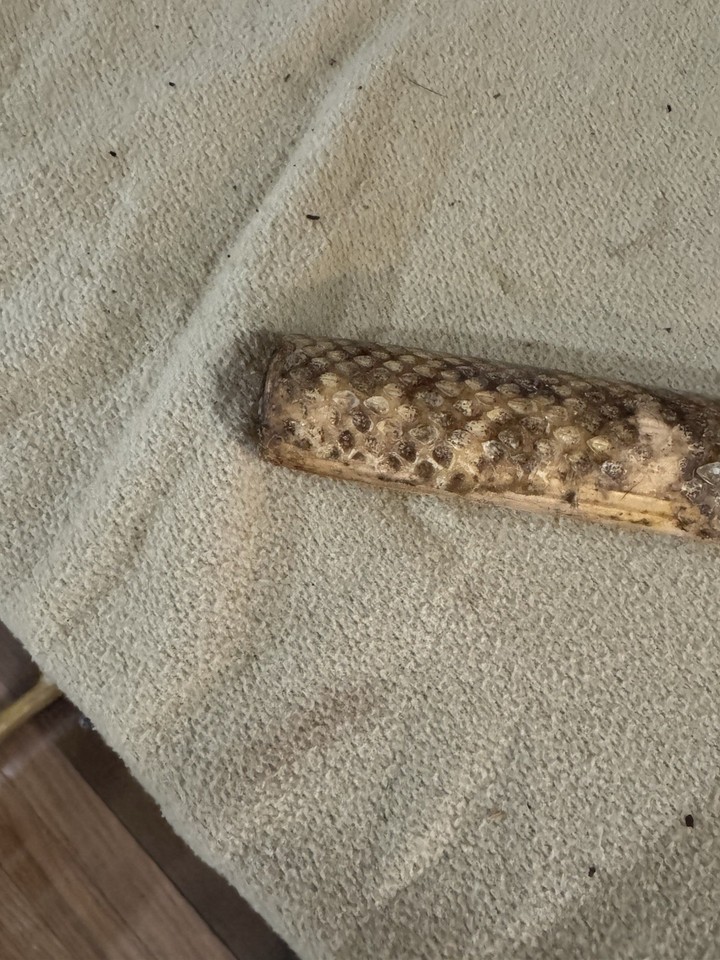 39 “ Vintage Folk Art Walking Stick Cane. Rattlesnake Skin Coveted ...