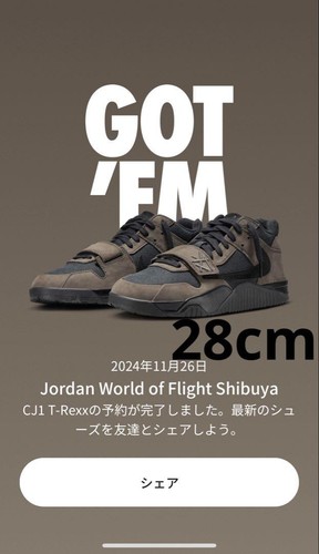 Men 10.0US Nike Travis Jordan Jumpman Dark Mocha from Japan | eBay