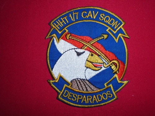 US Army HHT 1st Squadron 7th Cavalry Regiment DESPARADOS Vietnam War ...