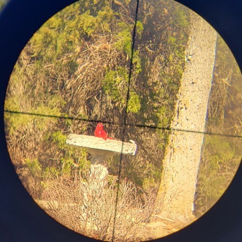 BSA Optics BZ 4X32 Made in China Rifle Scope | eBay