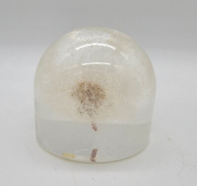 Vintage Lucite Dandelion Paperweight Signed W. Rolfe | eBay