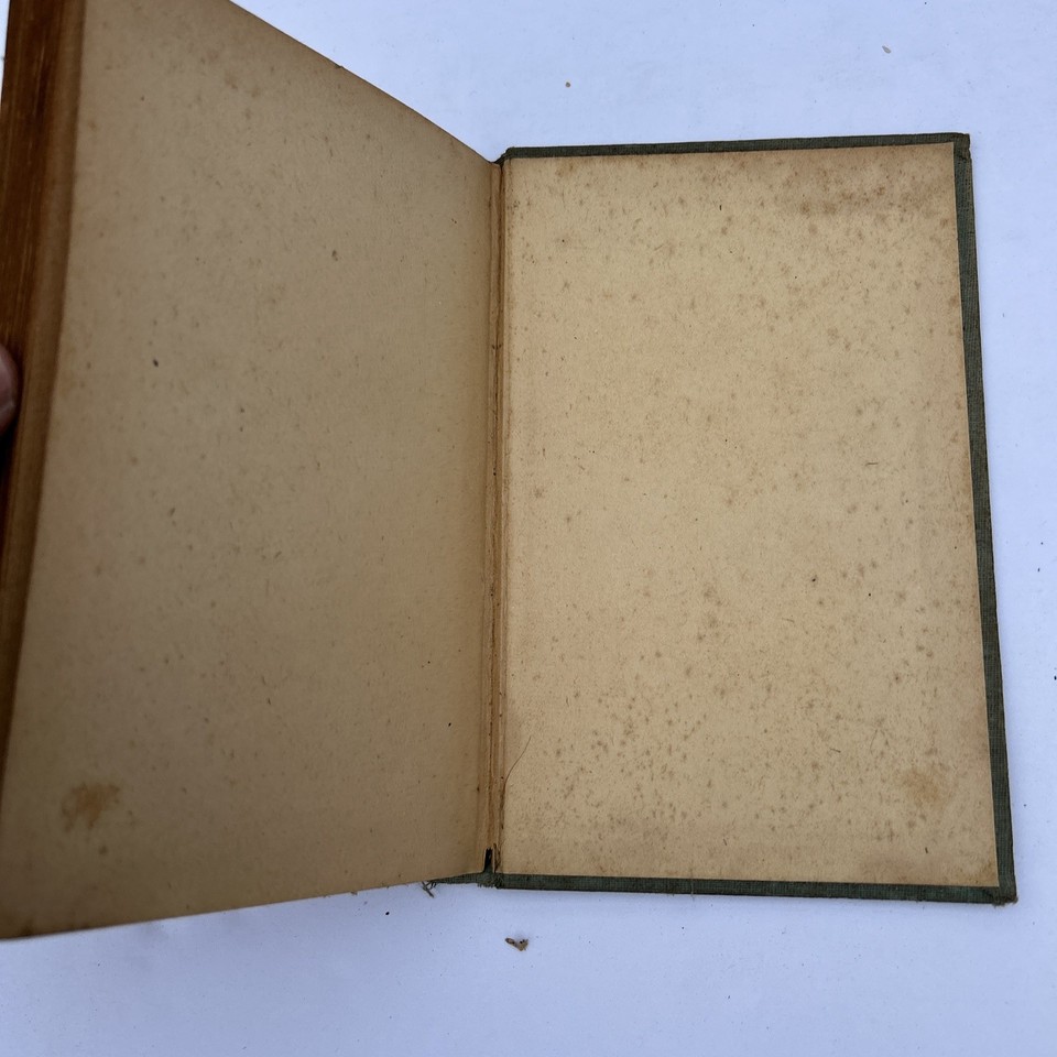 The Young Explorer - Horatio Alger Jr. Vintage Book 1900s | eBay