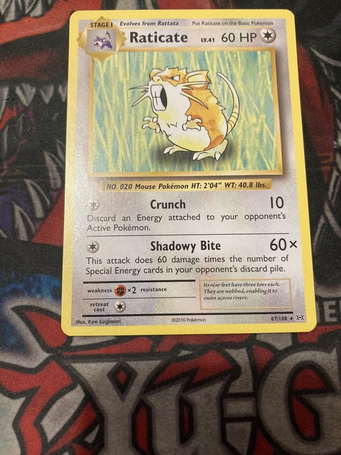 Pokémon TCG Raticate XY Evolutions 67/108 Regular Rare for sale online ...