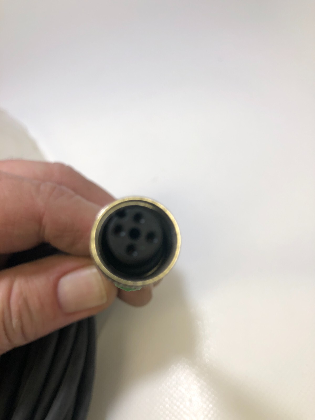 Phoenix Contact E221474 Sensor Connector Cable W436 for sale online | eBay