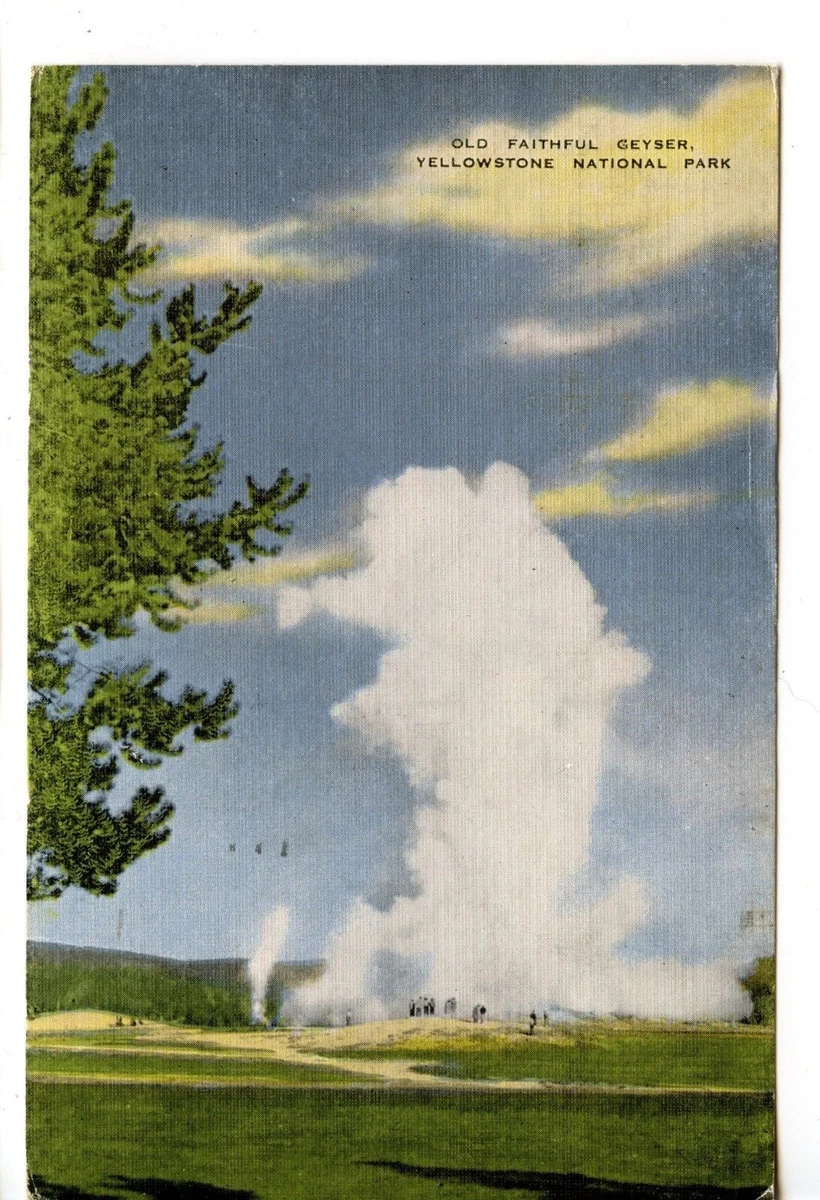 Old Faithful Postcard