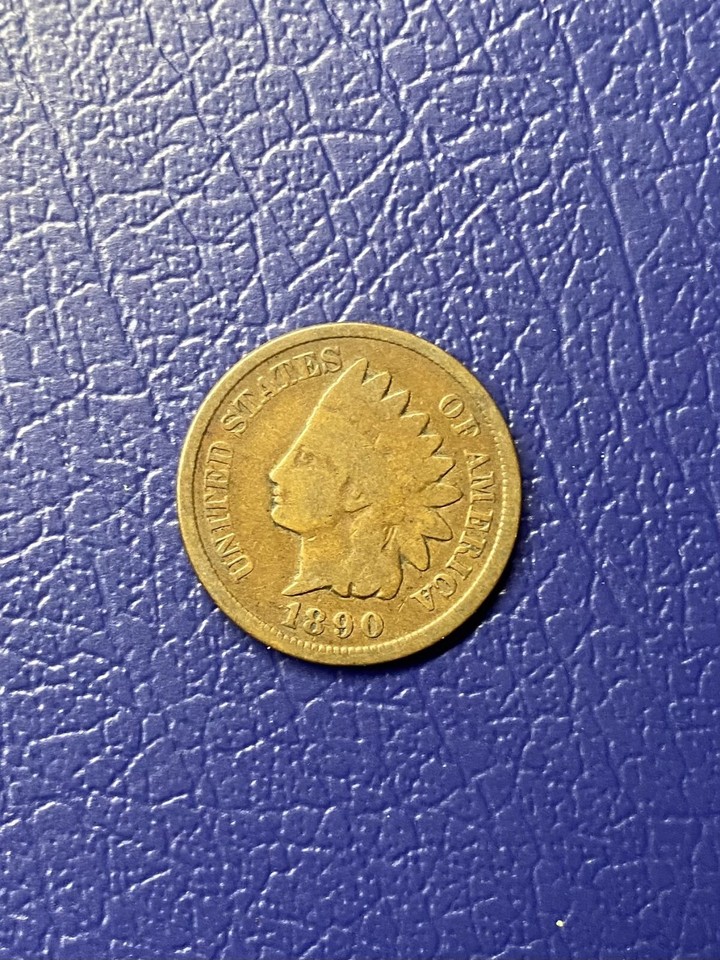 (US COINS Lot) Starter Coin Collection Indian Heads, Ike Dollars ...