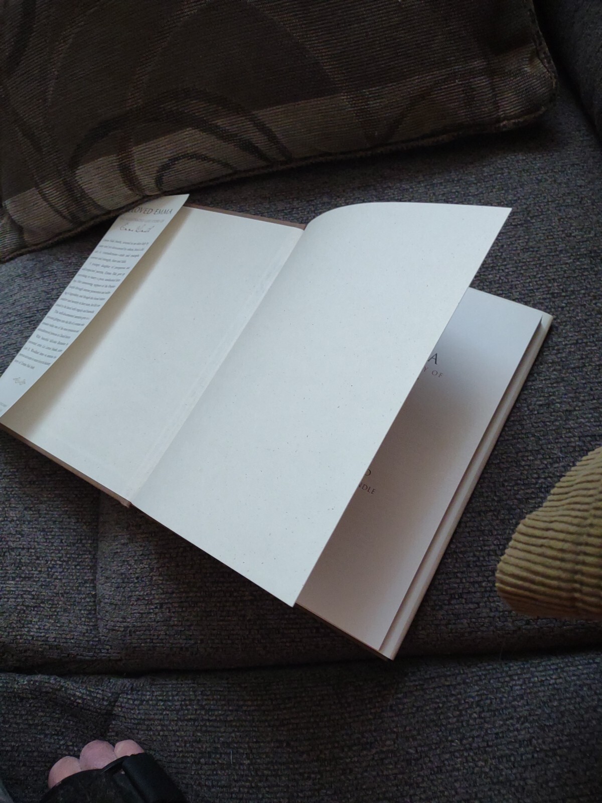 Beloved Emma : The Illustrated Life Story of Emma Smith by lori ...