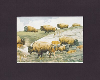 8X10" Matted Print Western Art Picture: Don Rodell, On Guard | eBay UK
