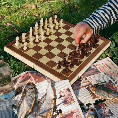 Wooden Chess Pieces and Checkers International Set Game Pawns ...