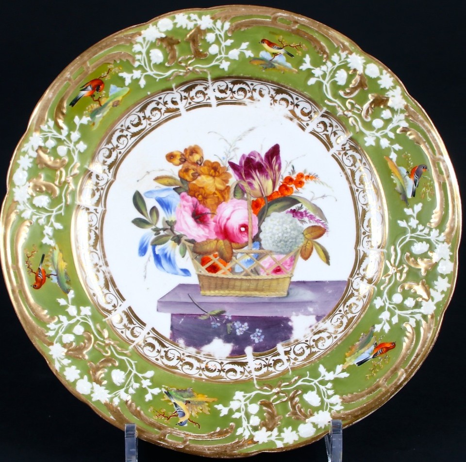 12 Antique Coalport Hand-Painted Botanical Plates, England | eBay