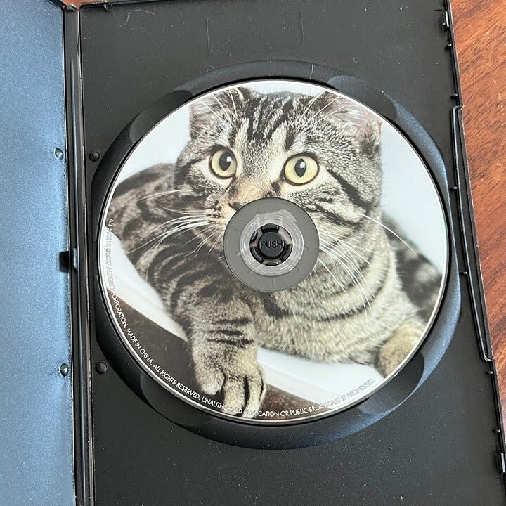World of Cats: The Indoor Cat - DVD | eBay