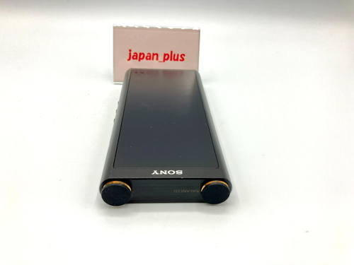 Sony NW-ZX300 Black Hi-Res Walkman 64GB Digital Music Player | 3.1 ...