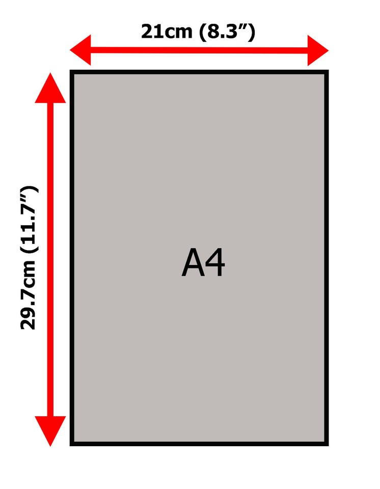 Times Tables A4 Wall Chart Poster Children Kids Education ...