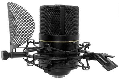 MXL 770 Complete Studio Condenser Mic with Pop Filter and Shockmount ...