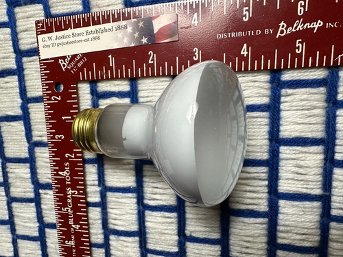 2 new 12V swimming pool 100w LIGHT BULB 12 volt 100 watt R20 flood ...