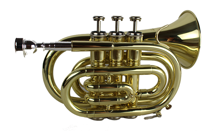 Axiom Pocket Trumpet Outfit - School Trumpet - Including Case | eBay