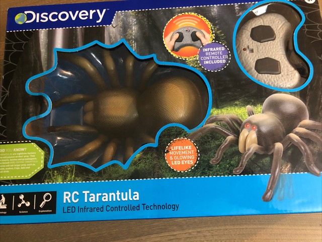 RC Spider Tarantula Discovery Kids Toys Radio Remote Controlled ...
