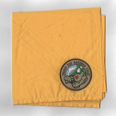 Troop 725 Gardena California Neckerchief [NC-3298] | eBay