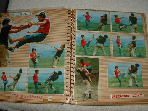 Lot of Taiwanese Martial Arts Actress Angela Mao Super Fan's Albums and ...