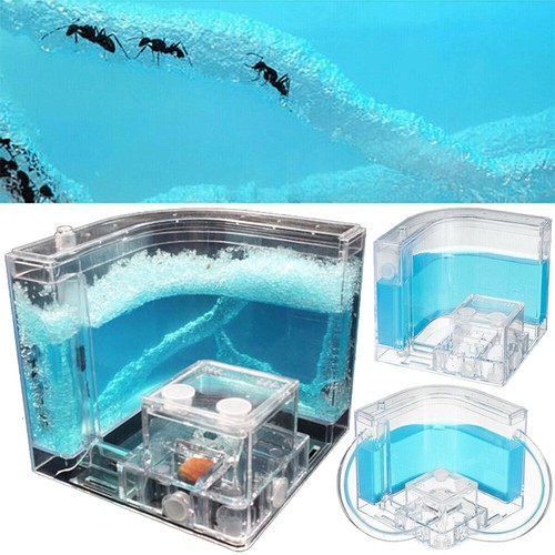 Ant Farm Castle w/ Connecting Educational Toys Ant Habitat Science ...