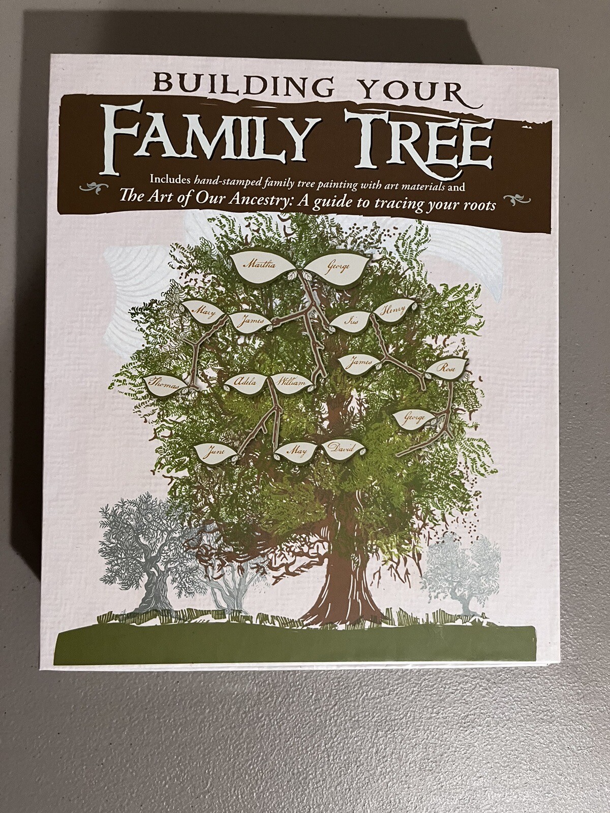 BUILDING YOUR FAMILY TREE The Art of Our Ancestry: A guide to tracing ...