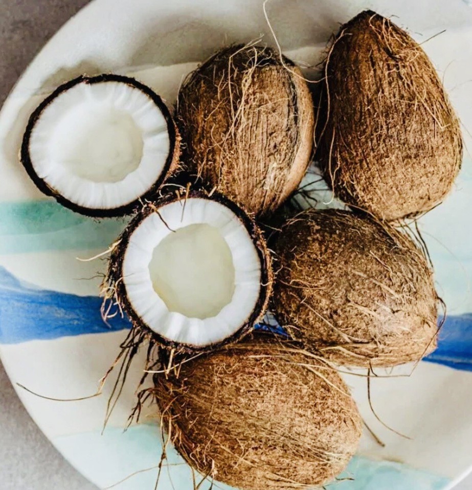 (3 PACK) FRESH WHOLE COCONUT HAND PICKED FRESH HARVEST FREE SHIPPING | eBay