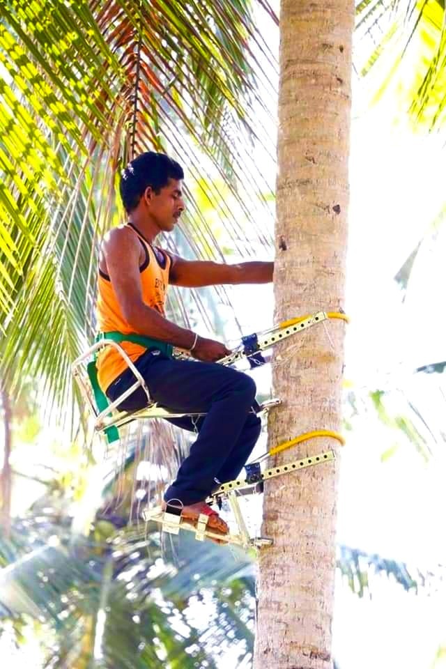 EASY COCONUT TREE Climbing MACHINE TOOL with 100% SAFETY and HIGH ...