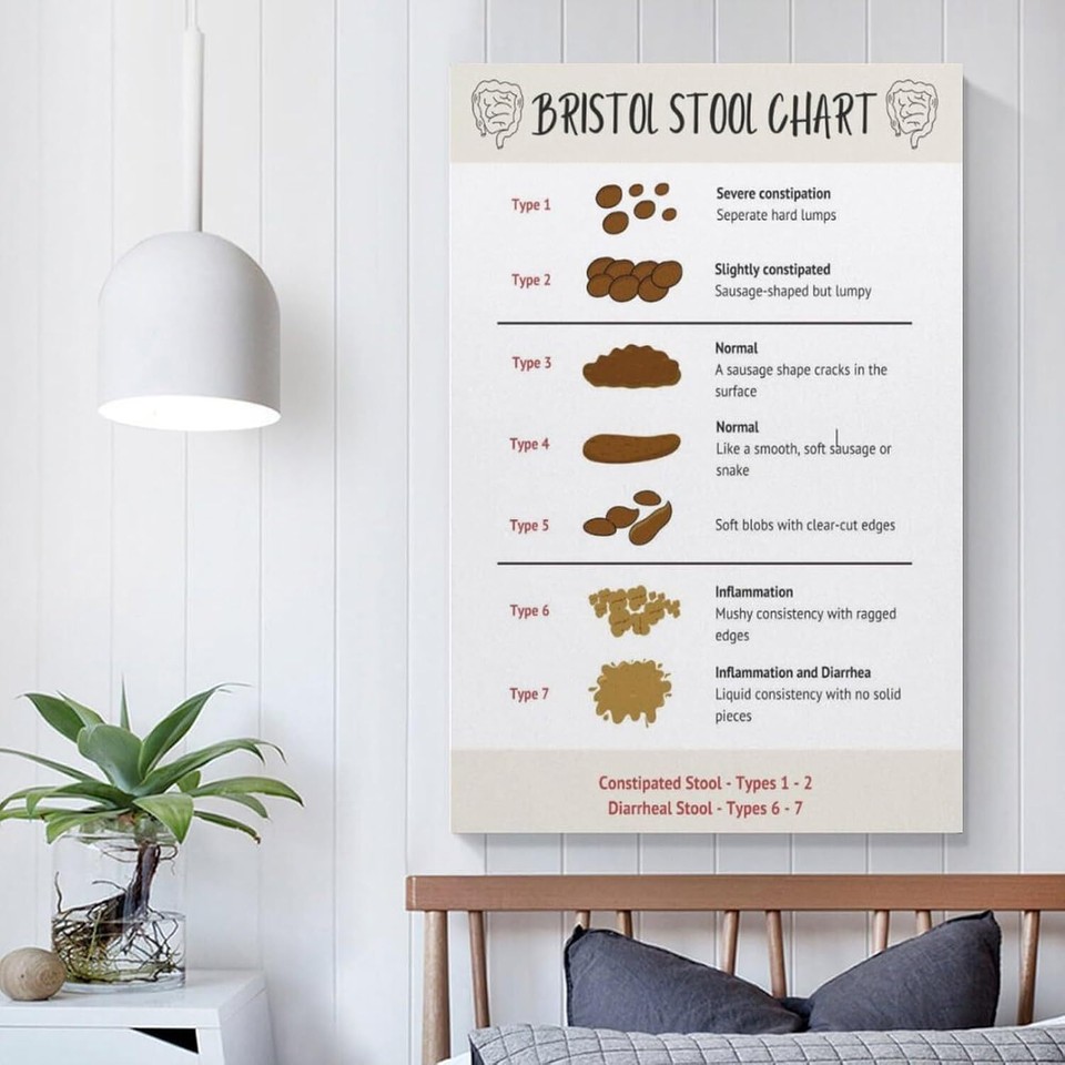 Bristol Stool Chart Poster Healthy Poop Bowel Movement Bowel ...