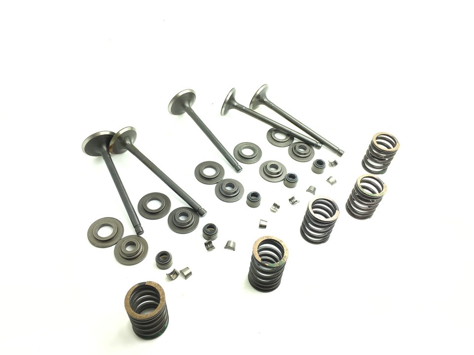 Engine Complete Valve Kit Set ATV UTV750 HiSun Massimo,Bennche Vector ...