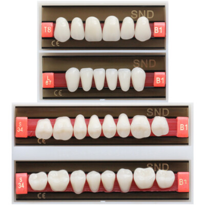 1Set B1 Shade Dental FullMouth Two-Layer Synthetic Resin Teeth ...