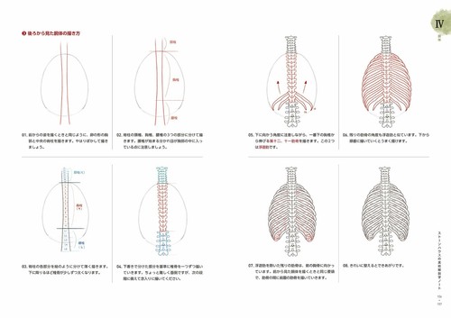 Stonehouse's Anatomy Note Socca Suk Jong Hyun ART Book "How to Draw ...