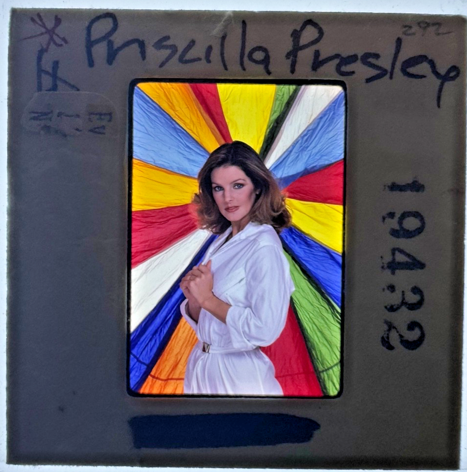 LMP75-004 1980 TV Those Amazing Animals Priscilla Presley Orig 35mm ...