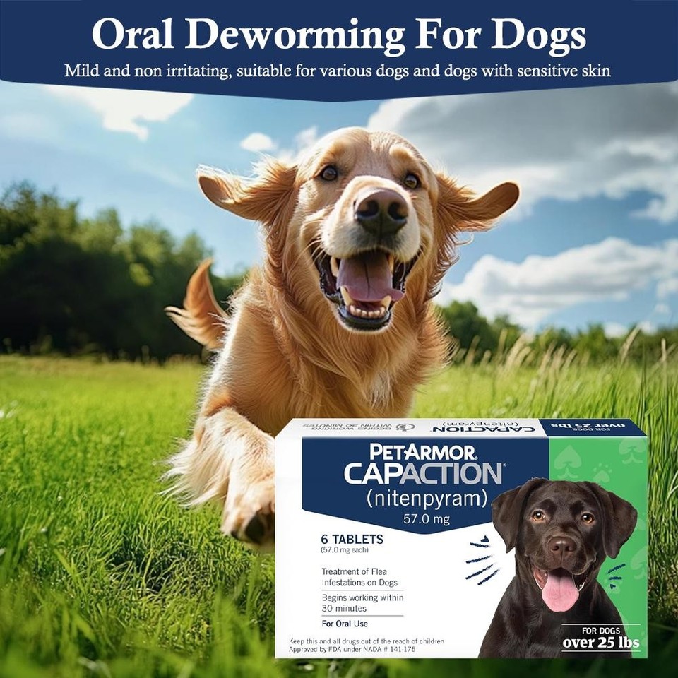 Capstar Nitenpyram 57mg 6 Tablets For Dogs, Oral Deworming for Dogs ...