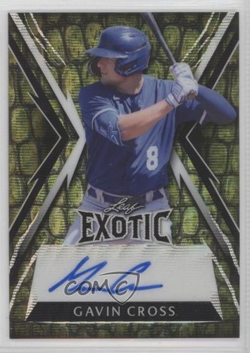 2023 Leaf Exotic Alligator Wave /6 Gavin Cross #BA-GC1 Auto | eBay