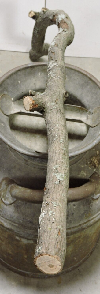 48" Hickory Wood Walking Stick Staff Carving Craft Crooked Handle 1 1/ ...