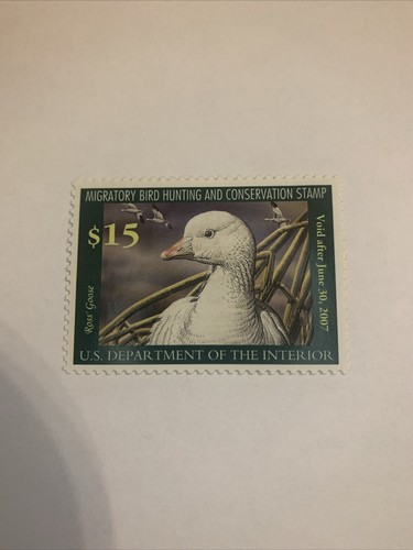 2006 US Federal Duck Stamp Ross's Goose - Cat # RW73A Single Adhesive ...