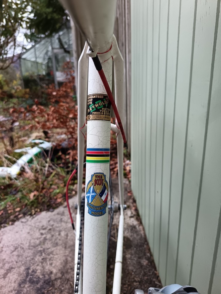 1959 Ladies Flying Scot Bicycle - Restoration Project | eBay UK