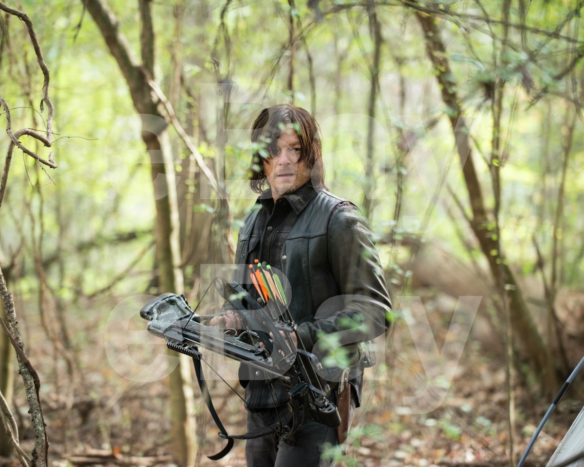 The Walking Dead (TV) Norman Reedus "Daryl" Photo | eBay UK