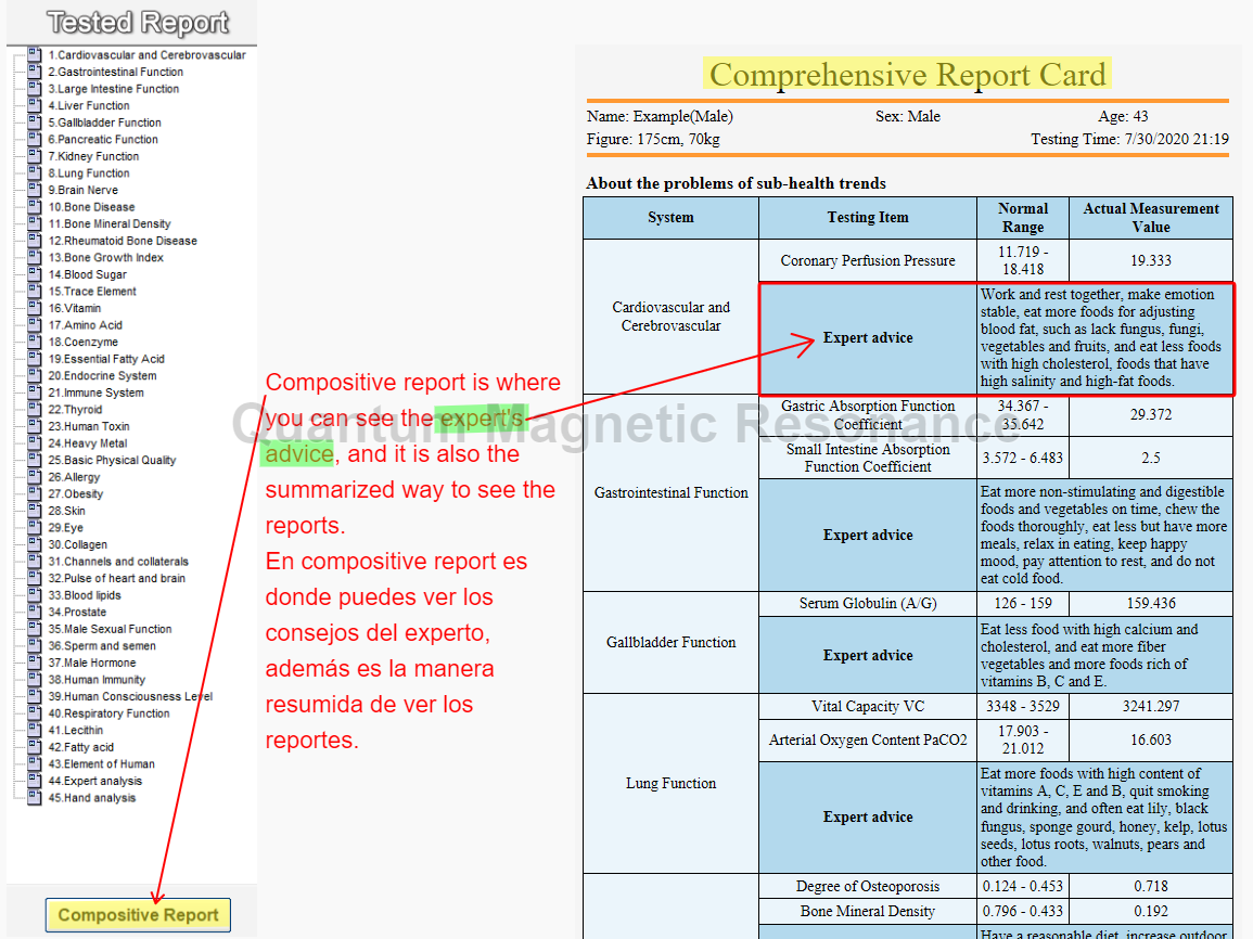 2024 Quantum Magnetic Resonance Body Analyzer 100 Reports -Standard ...