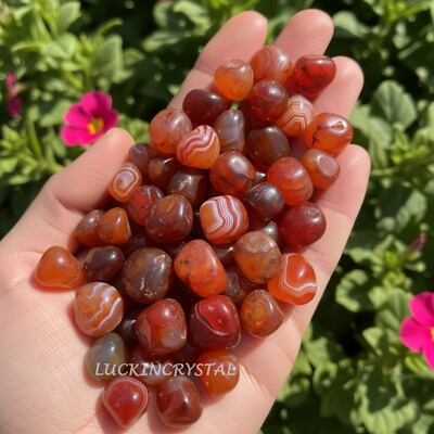10Pcs Grade A+ Carnelian Tumbled Stones, 0.5-1" Small Red Agate ...