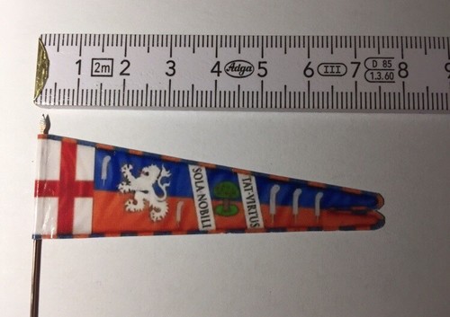 8x28mm Medieval War of Roses WOTR Yorkist Flags Banners Battle of ...