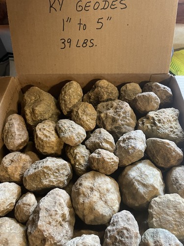LARGE FLAT RATE BOX OF KENTUCKY GEODES:VARIOUS SIZES-1” TO 5”. LAPIDARY ...
