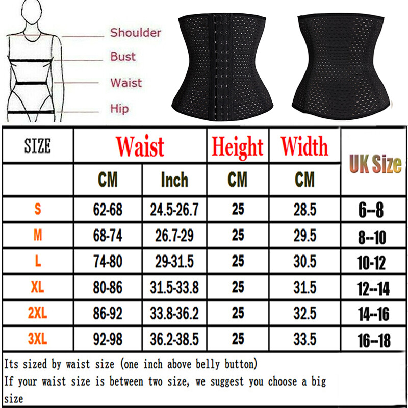 Women Burlesque Basque Waist Trainer Cinchers Basques Corsets Plus Size ...